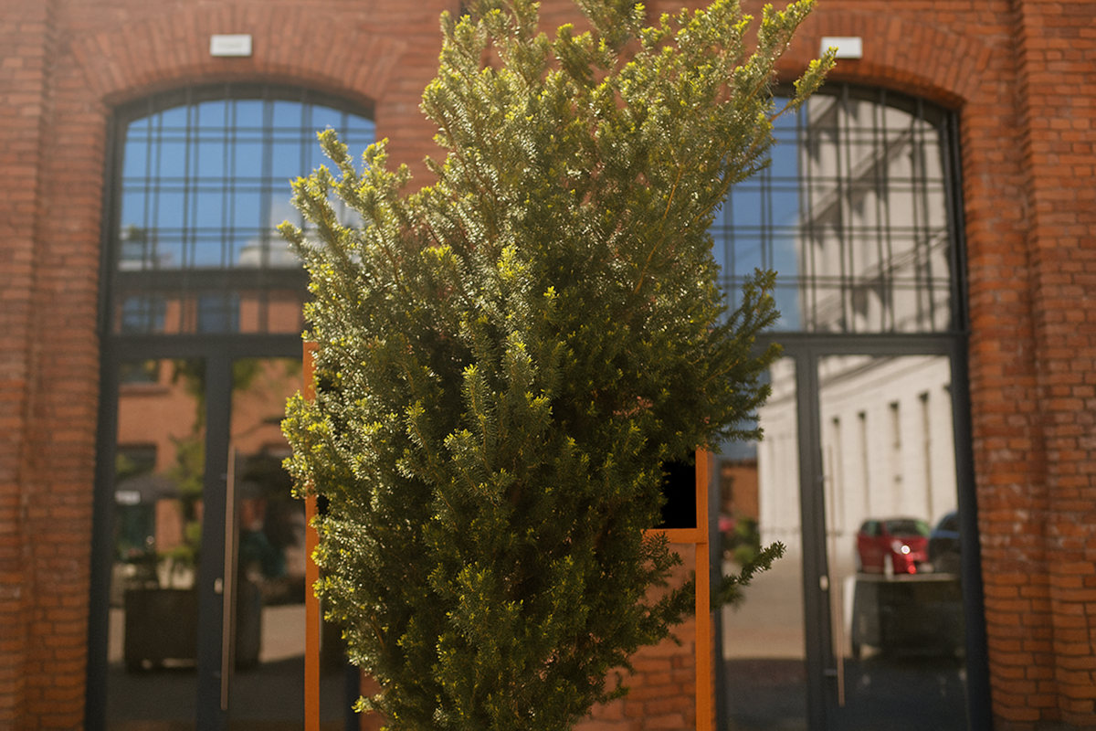 Top 5 Sign Installation Mistakes to Avoid | True Install